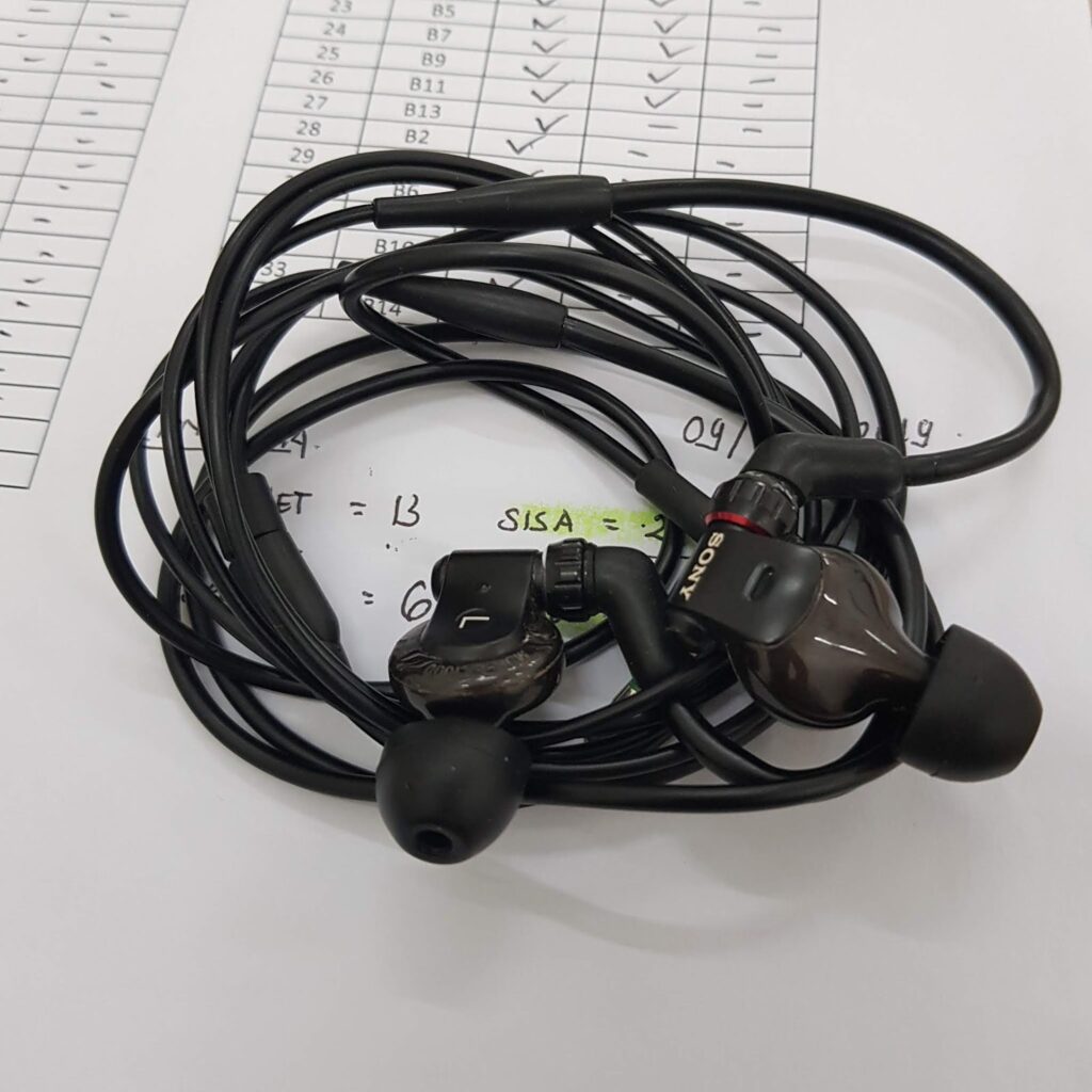 Review Sony MDR EX-1000 - Viola.id